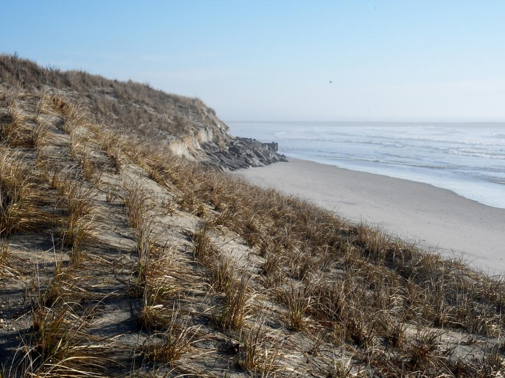 Bridge Repairs, Sand Back-Passing Planned For Summer